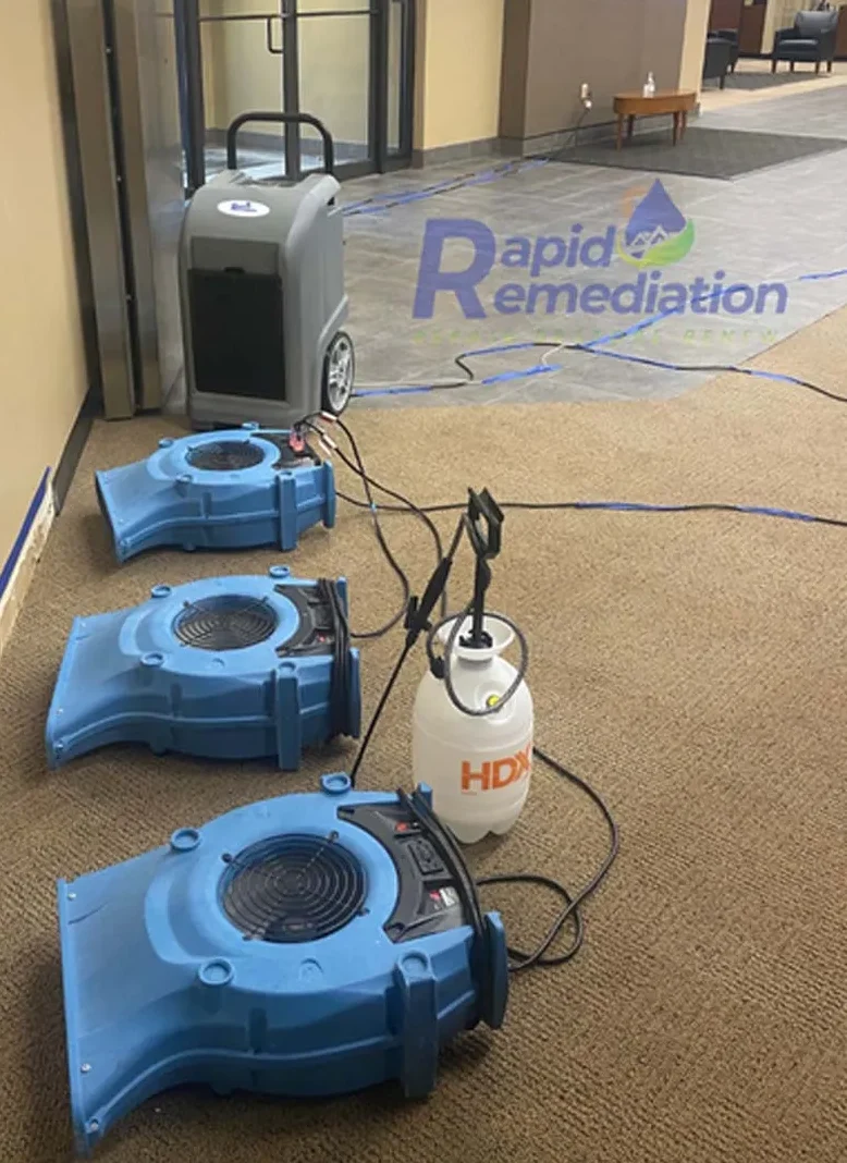 Reconstruction - Rapid Remediation